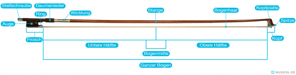 Geige lernen: Der ultimative Leitfaden – Musicol